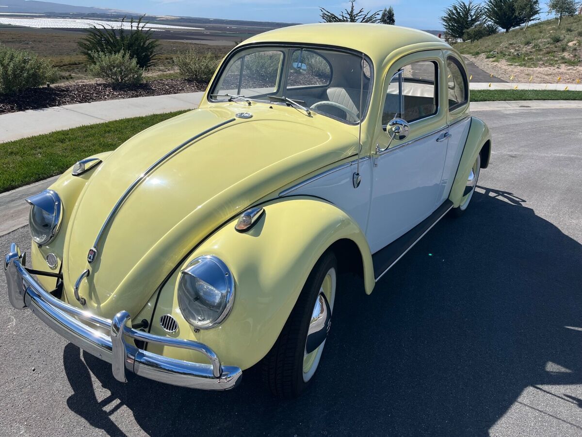 1963 VW Volkswagen beetle classic - Classic Volkswagen Beetle - Classic 1963 for sale