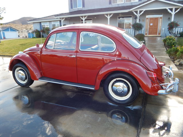 1967 Volkswagen Beetle Hardtop - Classic Volkswagen Beetle - Classic 1967 for sale