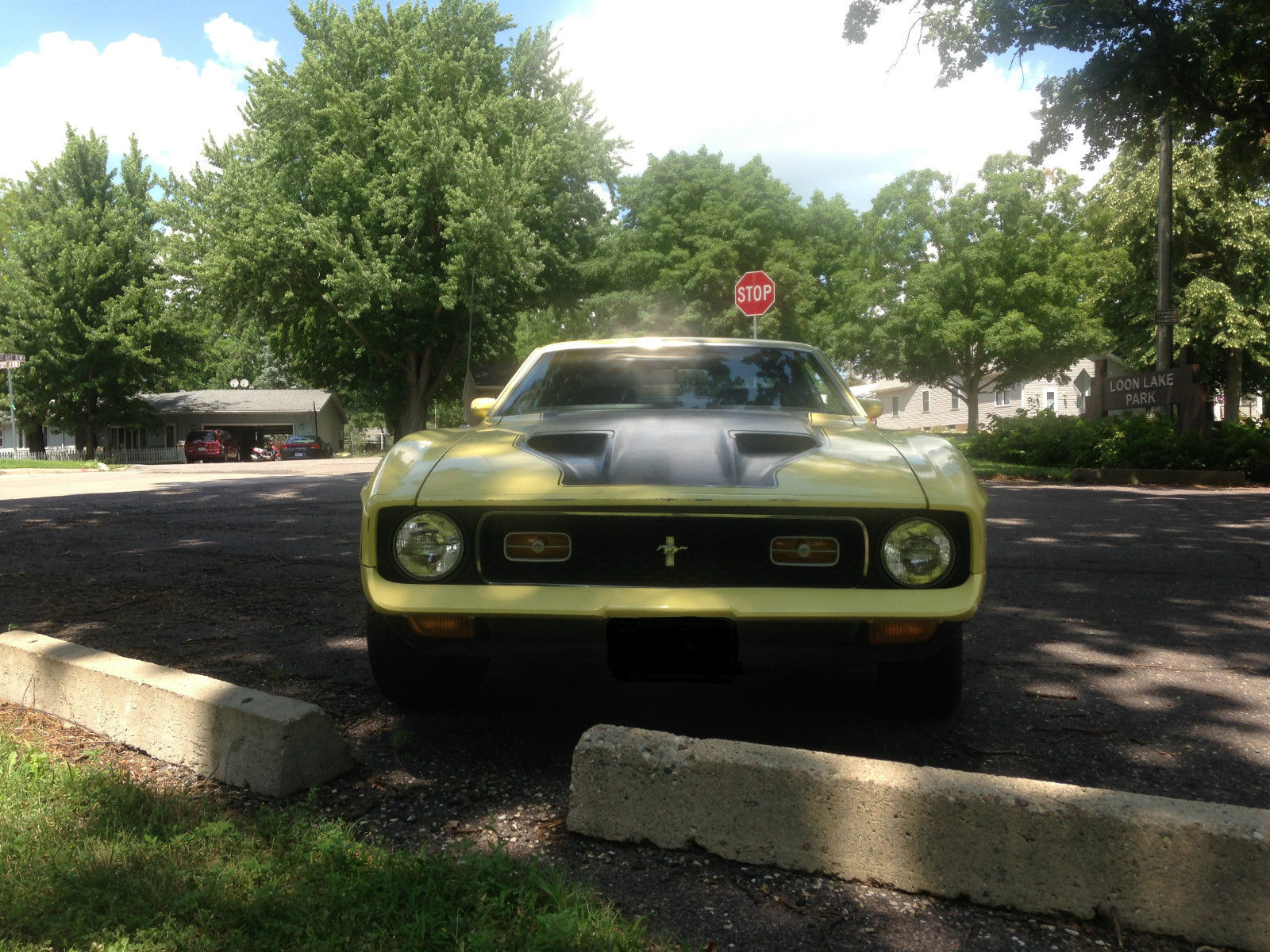 1971 Mach 1 Mustang - Classic Ford Mustang 1971 for sale