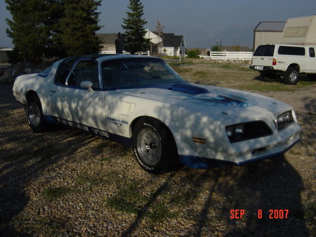 1978 Macho T/A #27 - Classic Pontiac Trans Am 1978 for sale