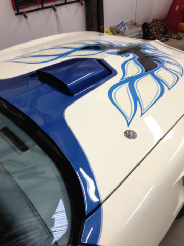 1978 Macho T/A #27 - Classic Pontiac Trans Am 1978 for sale