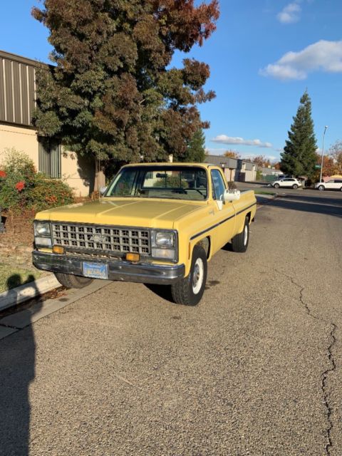 1980 chevrolet c20 - Classic Chevrolet C-10 1980 for sale
