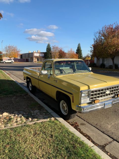 1980 chevrolet c20 - Classic Chevrolet C-10 1980 for sale