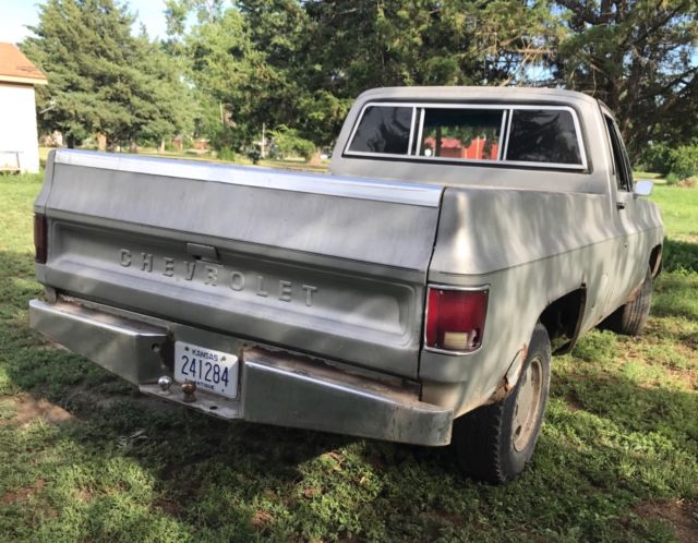 1980 Chevy SWB C10 - Classic Chevrolet C-10 1980 for sale