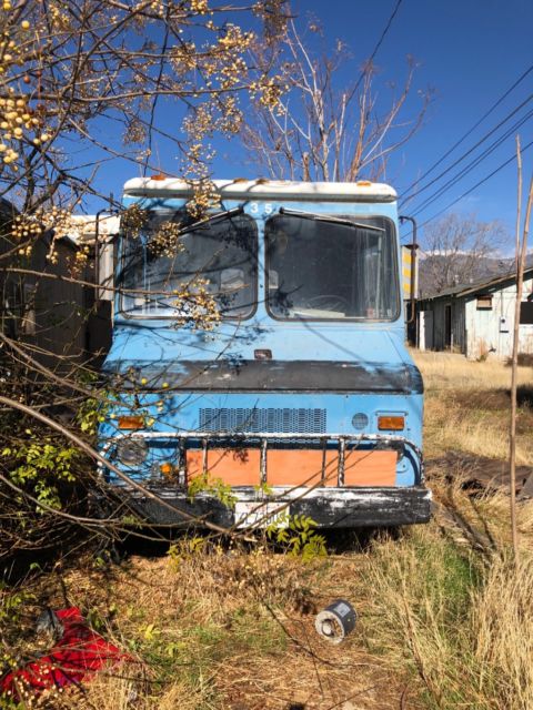 1987 Chevy P30 Step Van - Classic Chevrolet Other 1987 for sale