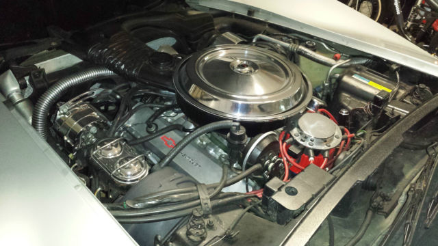 Corvette L81 - Classic Chevrolet Corvette 1981 for sale