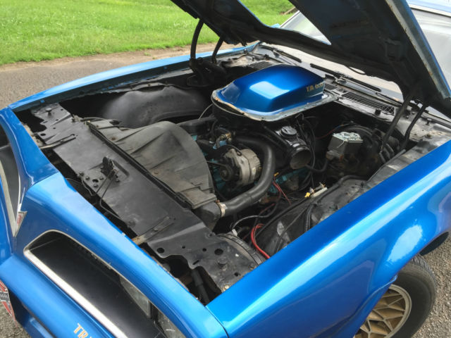 Martinique Blue 4 Speed - Classic Pontiac Trans Am 1977 for sale