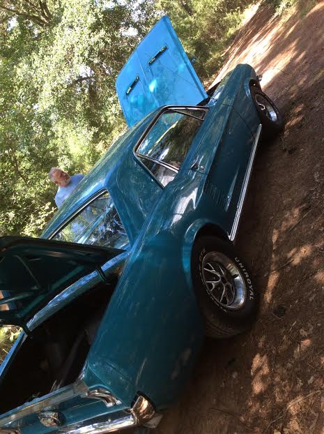 STUNNING 1967 Ford Mustang Squareback - Classic Ford Mustang 1967 for sale