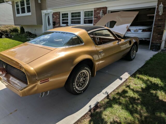 Trans Am - All Original - Classic Pontiac Trans Am 1979 for sale